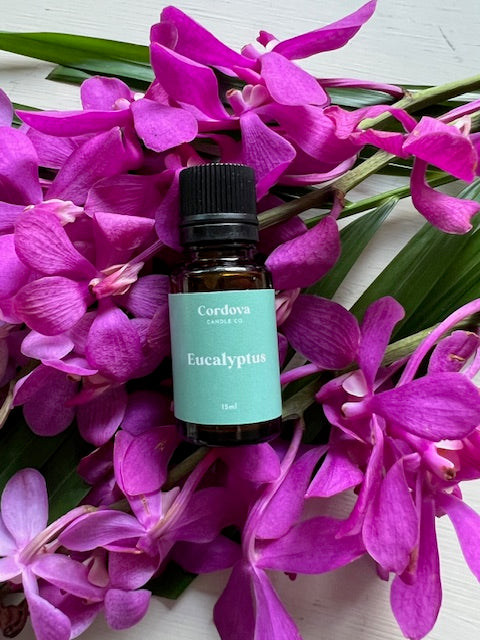 Eucalyptus - Essential Oil Blend – Amelia Lee Boutique